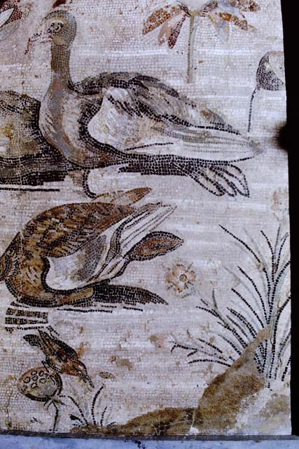 VI.12.2 Pompeii. W.1136. West wall of exedra with Alexander mosaic ...